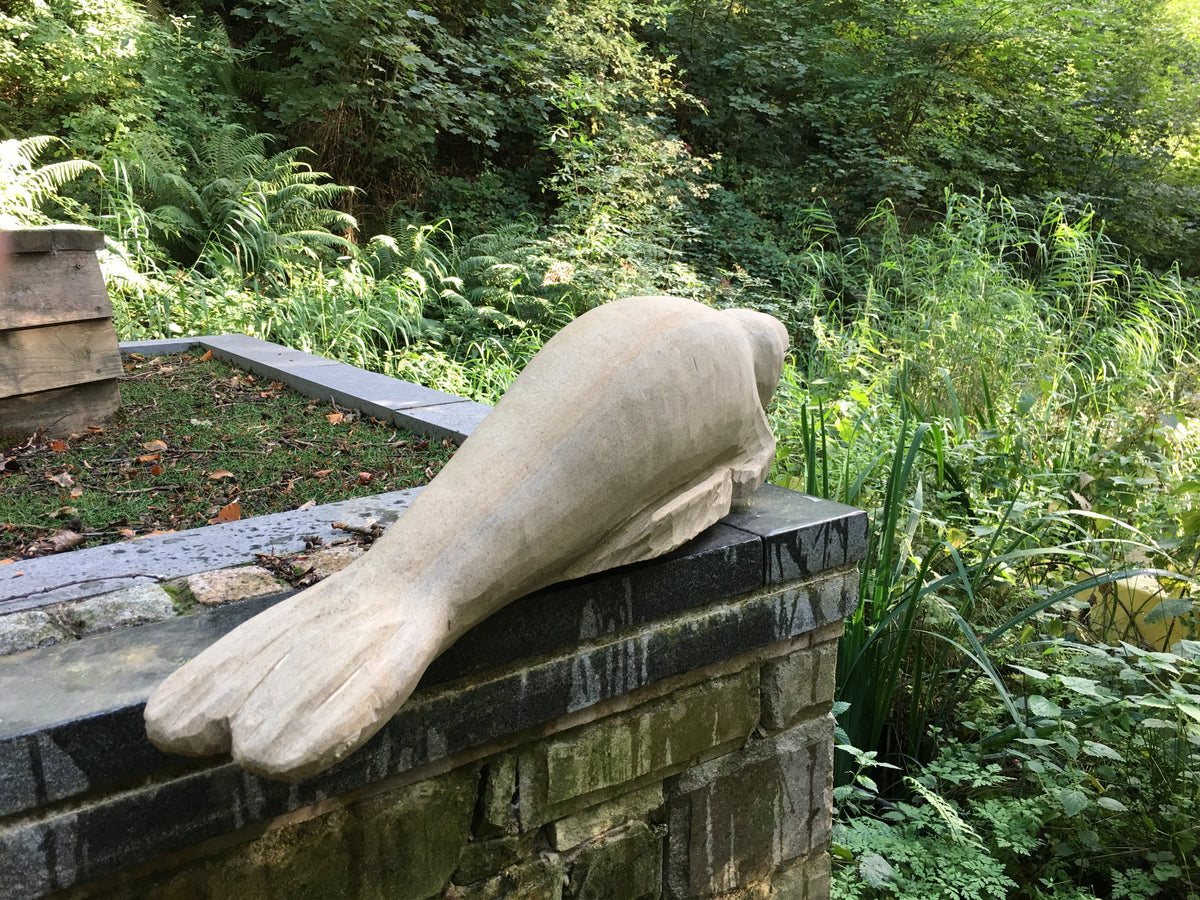 The Smiling Seal Original sandstone piece by Andrew Vickers – Andrew ...